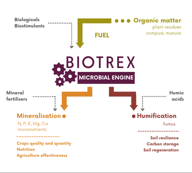 Technology – Biotrex