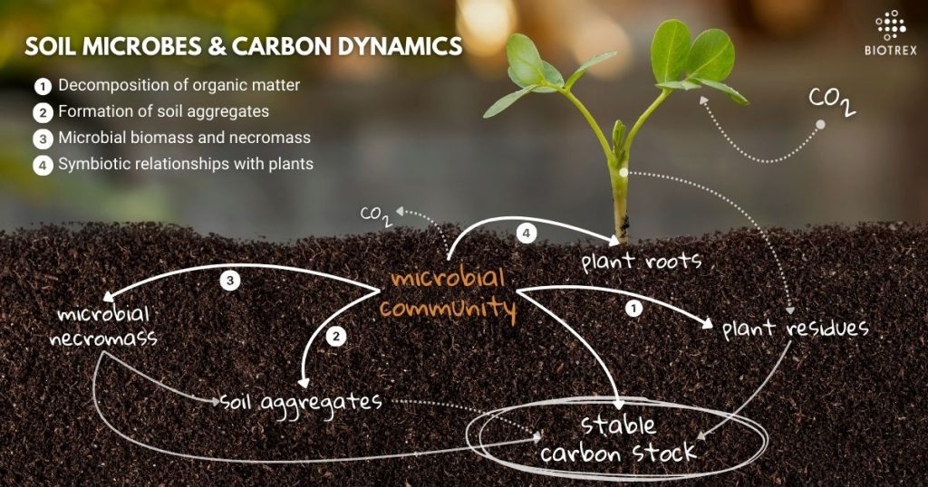 Analysing soil organic carbon is not enough – Biotrex
