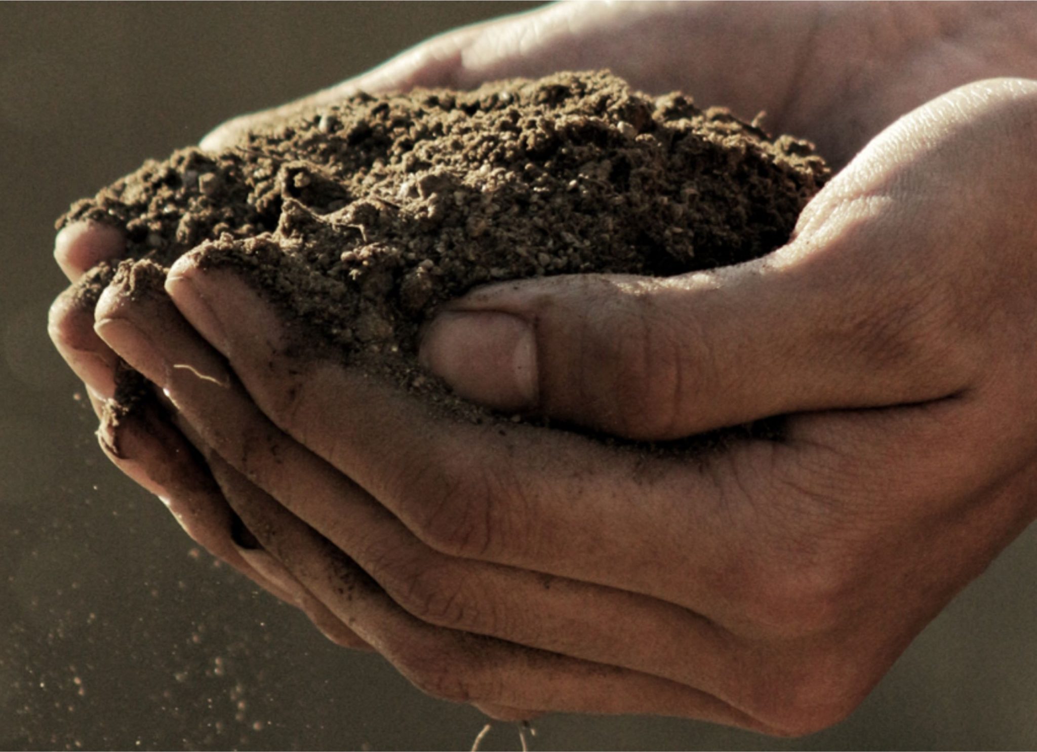 Biotrex – New biological indicator for soil health