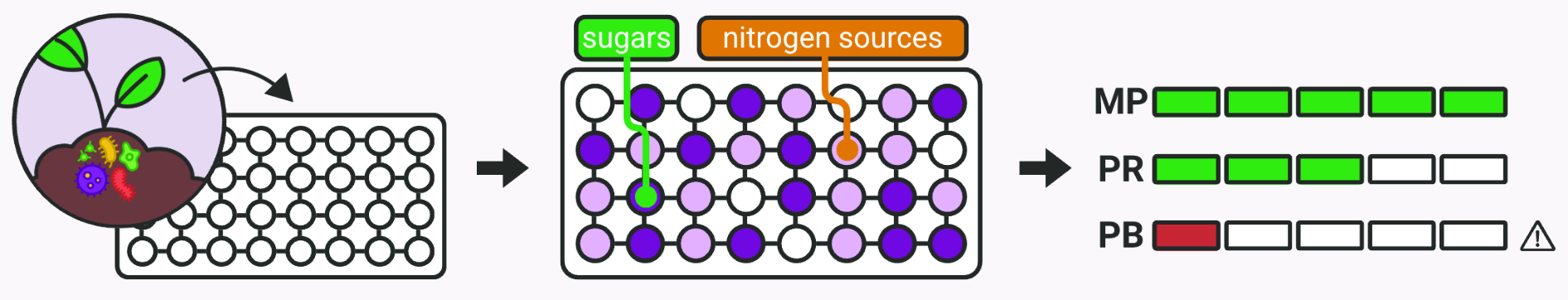 Technology – Biotrex